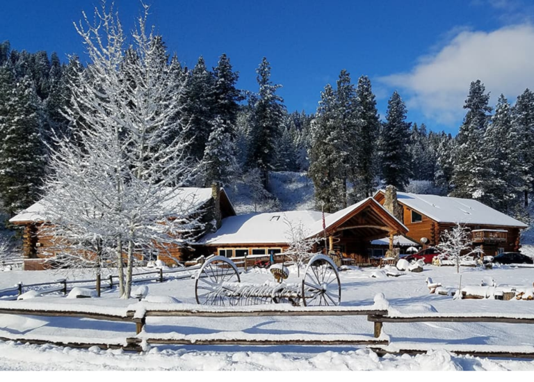 Ranch Life - K Diamond K